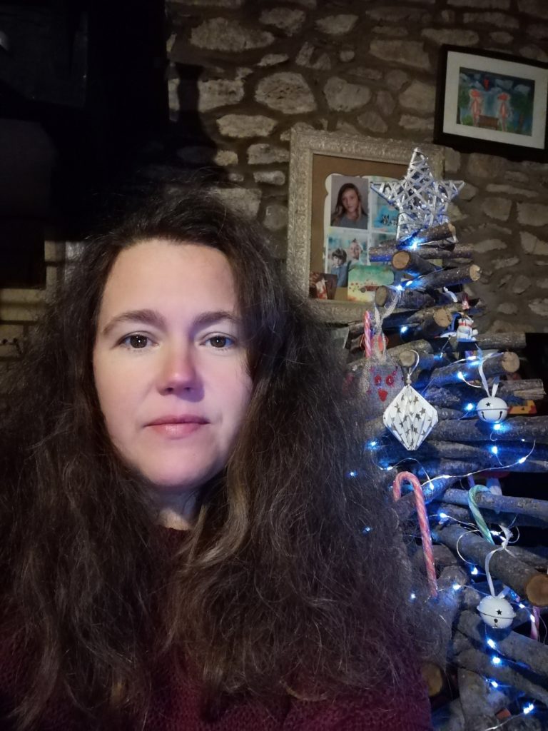 Ploërmel. Le challenge de Noël de l'Union des nageurs - Les Infos du ...