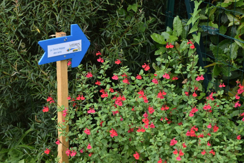 Qu'est ce qu'on fait ce week-end? - Les Infos du Pays Gallo