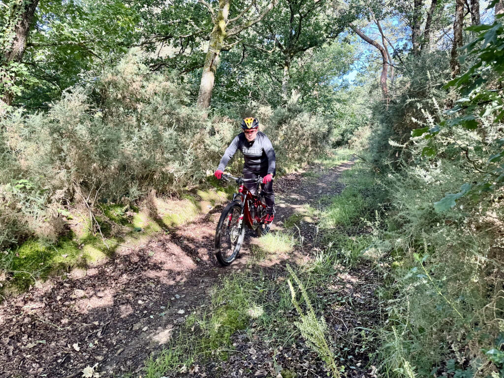 Saint-Congard. Nous avons testé une boucle VTT nature entre forêt ...